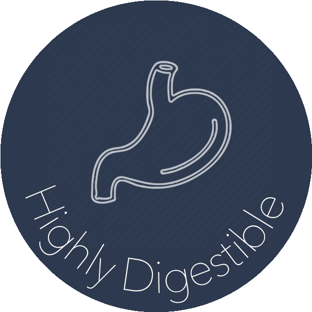 Highly Digestible – nell+lola